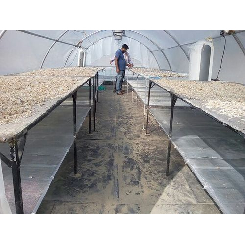 Solar Tunnel Dryer at Best Price in Chennai, Tamil Nadu | Diamond ...