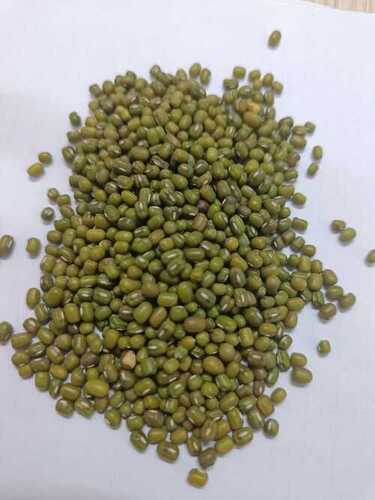 Organic Moong Whole (Green Gram) at Best Price in Ahmedabad | Gavyadhar ...