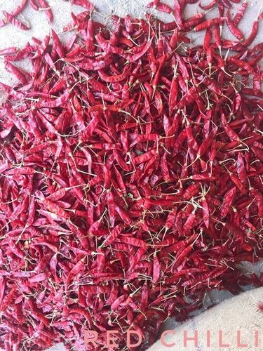 Dry Red Chilly Moisture (%): Nil at Best Price in Nashik | Siddhi Agro ...