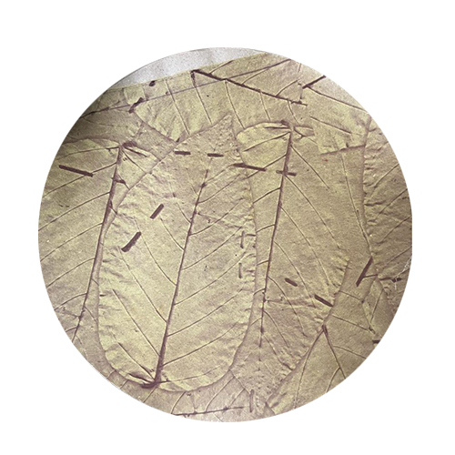 Plain Sal Patta Plate Application: Commercial at Best Price in Kolkata ...