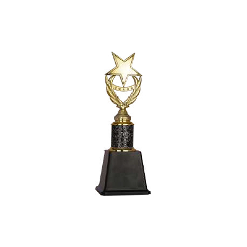 Various Colors Bt-7040 12 Inch Metal Star Trophy at Best Price in ...
