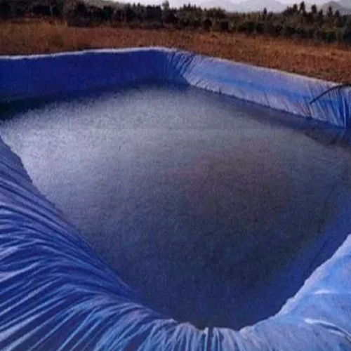 Fish Farm Aquaculture Services in Laxmi Nagar, Delhi - Nagodas Fish ...