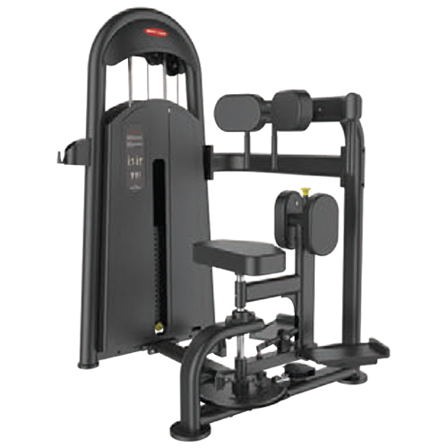 Bk-011 Rotary Torso Application: Gain Strength at Best Price in Delhi ...