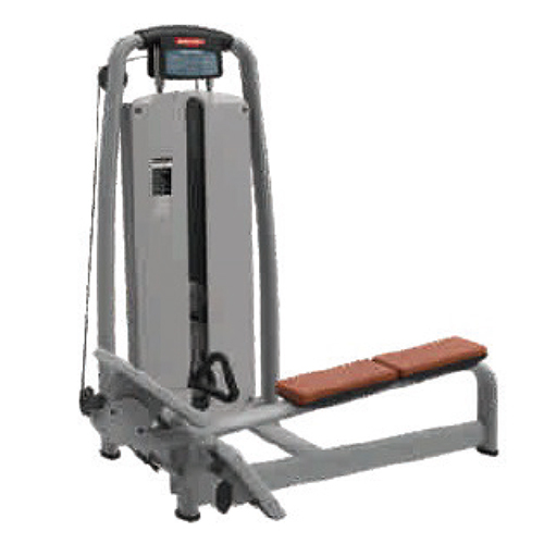 Er-14 Seated Horizontal Pully Application: Tone Up Muscle at Best Price ...