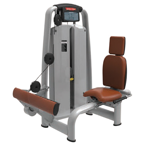 Er-60 Rotary Calf Application: Tone Up Muscle at Best Price in Delhi ...