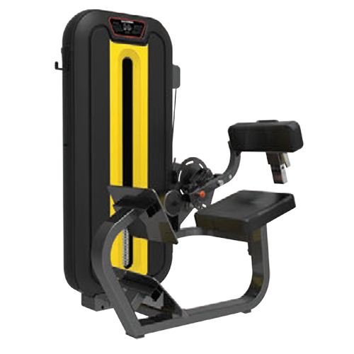 Ld-831 Back Extension Application: Tone Up Muscle at Best Price in ...