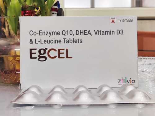 Co- Enzyme Tablet Shelf Life: 1 Years at Best Price in Rohtak | Maylizz ...