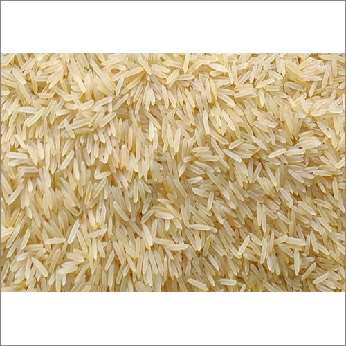 Common Pr 14 Golden Sella Rice at Best Price in Mumbai | Trees N Bees ...