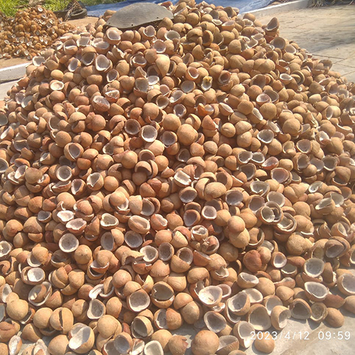 Natural Coconut Copra - Whole Husk, Diamond Shape | Dried And Fresh ...