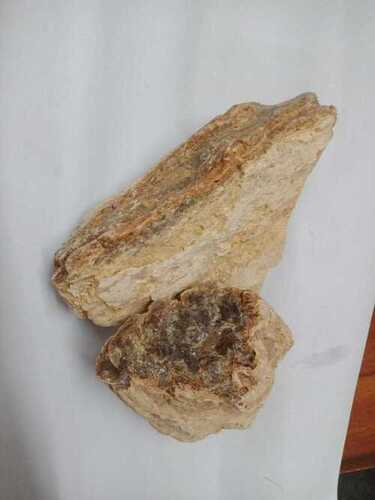 Dhuna India at Best Price in North 24 Parganas, West Bengal | Farming ...