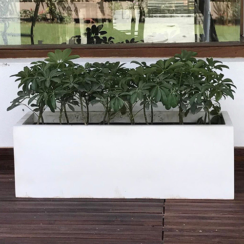 White Rectangle Outdoor Planter at Best Price in Gurugram | Growtech Today