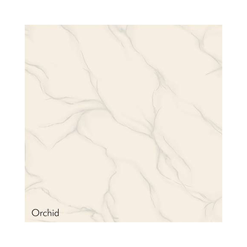 Whites Orchid Ivory Vitrfied Tiles at Best Price in Morbi | Ansh Exim