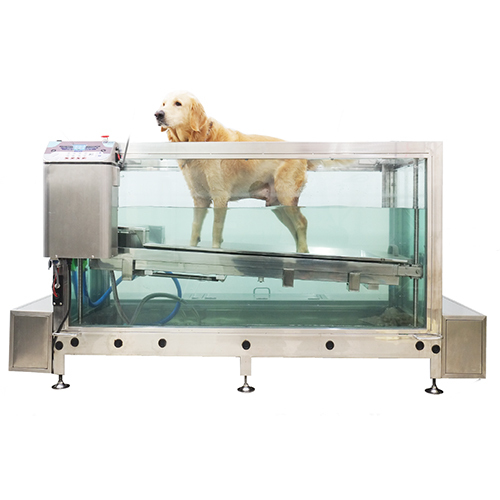 For Pets Uses Vet Veterinary Water Treadmill at Best Price in New Delhi ...