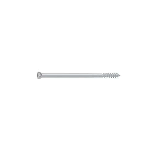 Silver Cancellous Screw at Best Price in Mumbai, Maharashtra | Hib ...