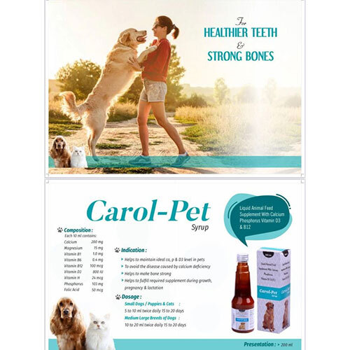 Carol Pet Syrup Efficacy: Promote Healthy at Best Price in Haridwar ...