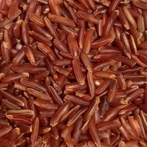 Red Rice - Organic Long Grain, Vibrant Red Color, High Purity, Moisture ...