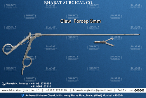 Polished Claw Forceps 10mm And 5mm Stainless Steel Polished Claw ...