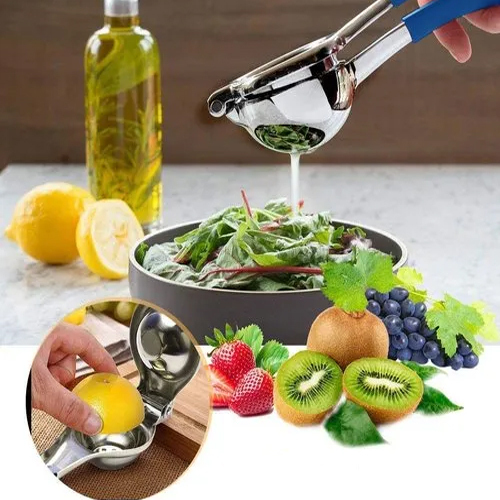 Silver Stainless Steel Blue Handle Lemon Squeezer at Best Price in ...