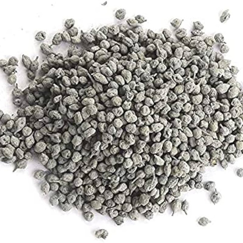 Ker Seed - Product Type: Dried at Best Price in Durgapur | Bandhan ...