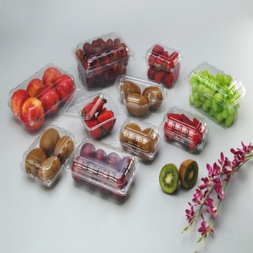 Buy Fruit Punnet at Best Price, Fruit Punnet Supplier in Mumbai