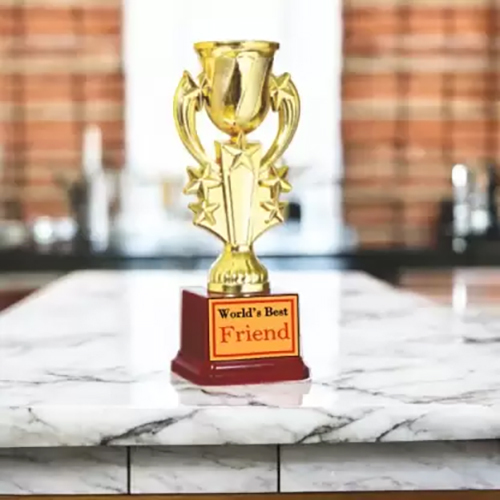7.5 Inch Trophy For Friend - Style: Artificial at Best Price in Delhi ...