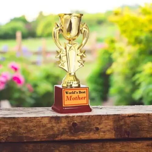 10 Inch Worlds Best Mother Trophy - Style: Artificial at Best Price in ...