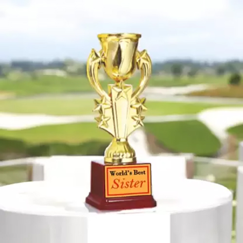 10 Inch Worlds Best Sister Trophy - Style: Artificial at Best Price in ...