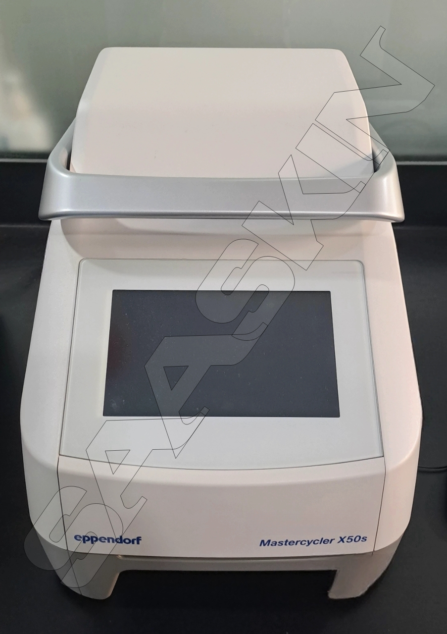 Eppendorf Mastercycler X50 - Pcr Thermocycler at Best Price in Chennai | Saaskin Corporation ...