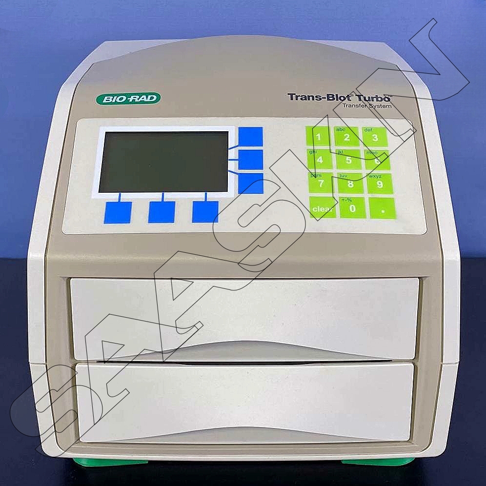 Biorad Trans-blot Turbo Transfer System at Best Price in Chennai ...