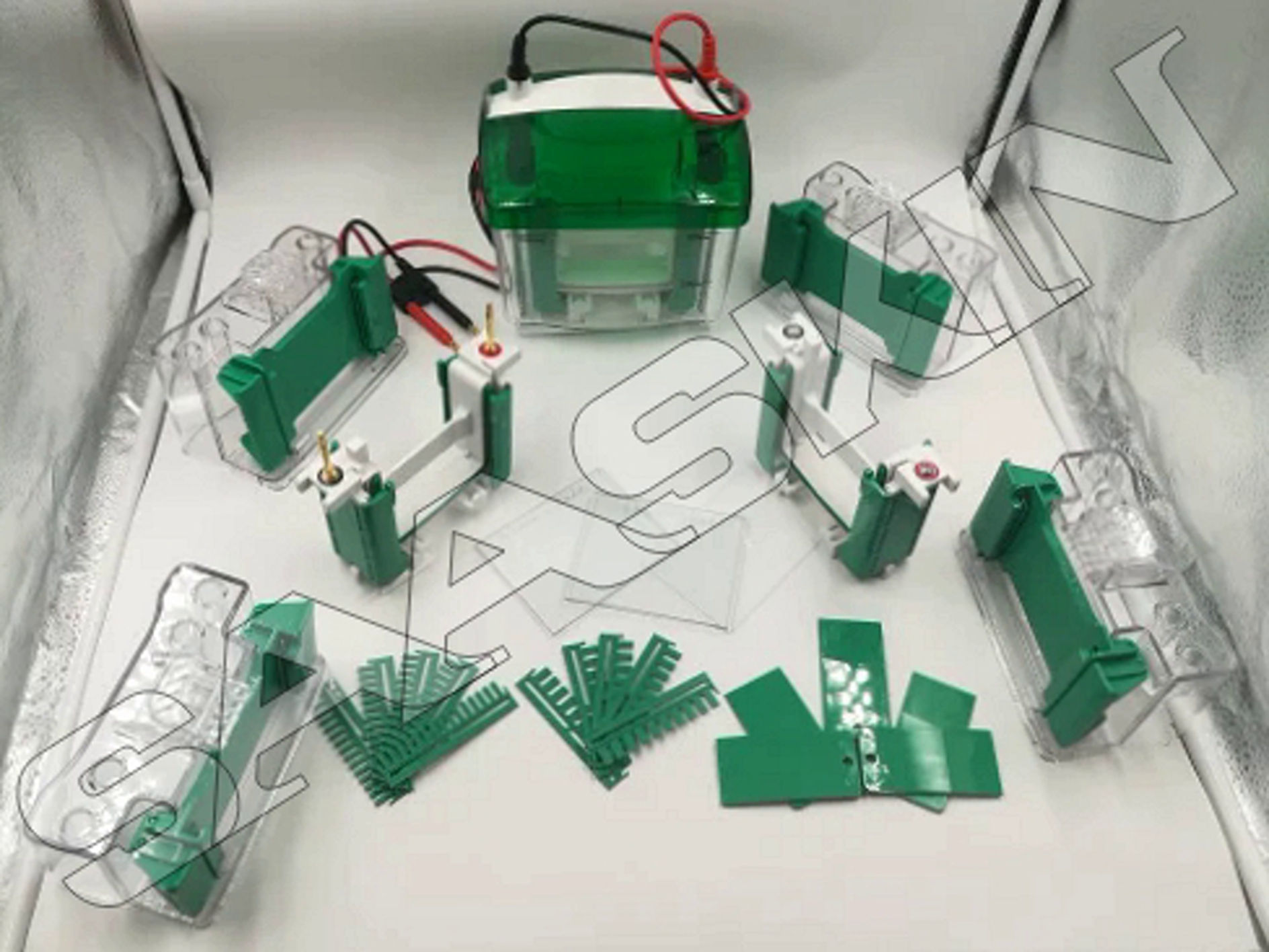 Biorad Mini-protean Tetra Vertical Electrophoresis Cell at Best Price ...