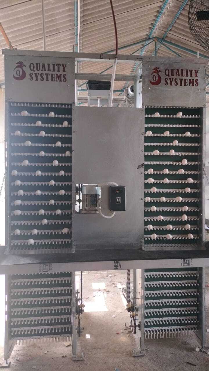 Layer Battery Cage - Material: Steel at Best Price in Mumbai | Quality ...