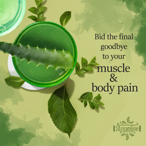 Go-pain Bottle at 296.80 INR in Jagraon, Punjab | Streamline Pharma ...