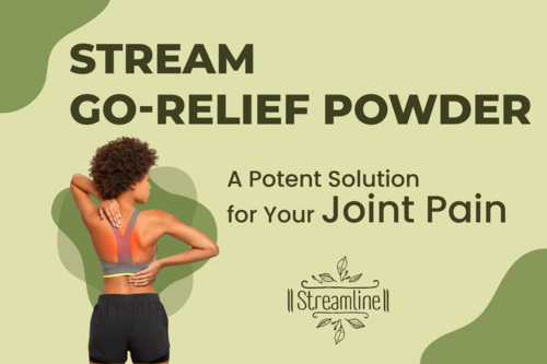 Go-pain Bottle at 296.80 INR in Jagraon, Punjab | Streamline Pharma ...