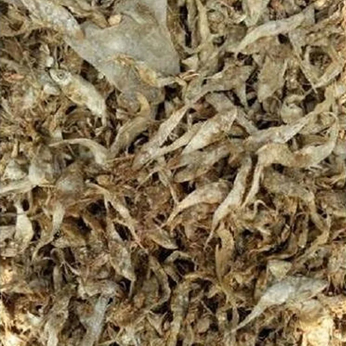 Dry Fish For Poultry Feed - Shelf Life: 1 Years at Best Price in ...