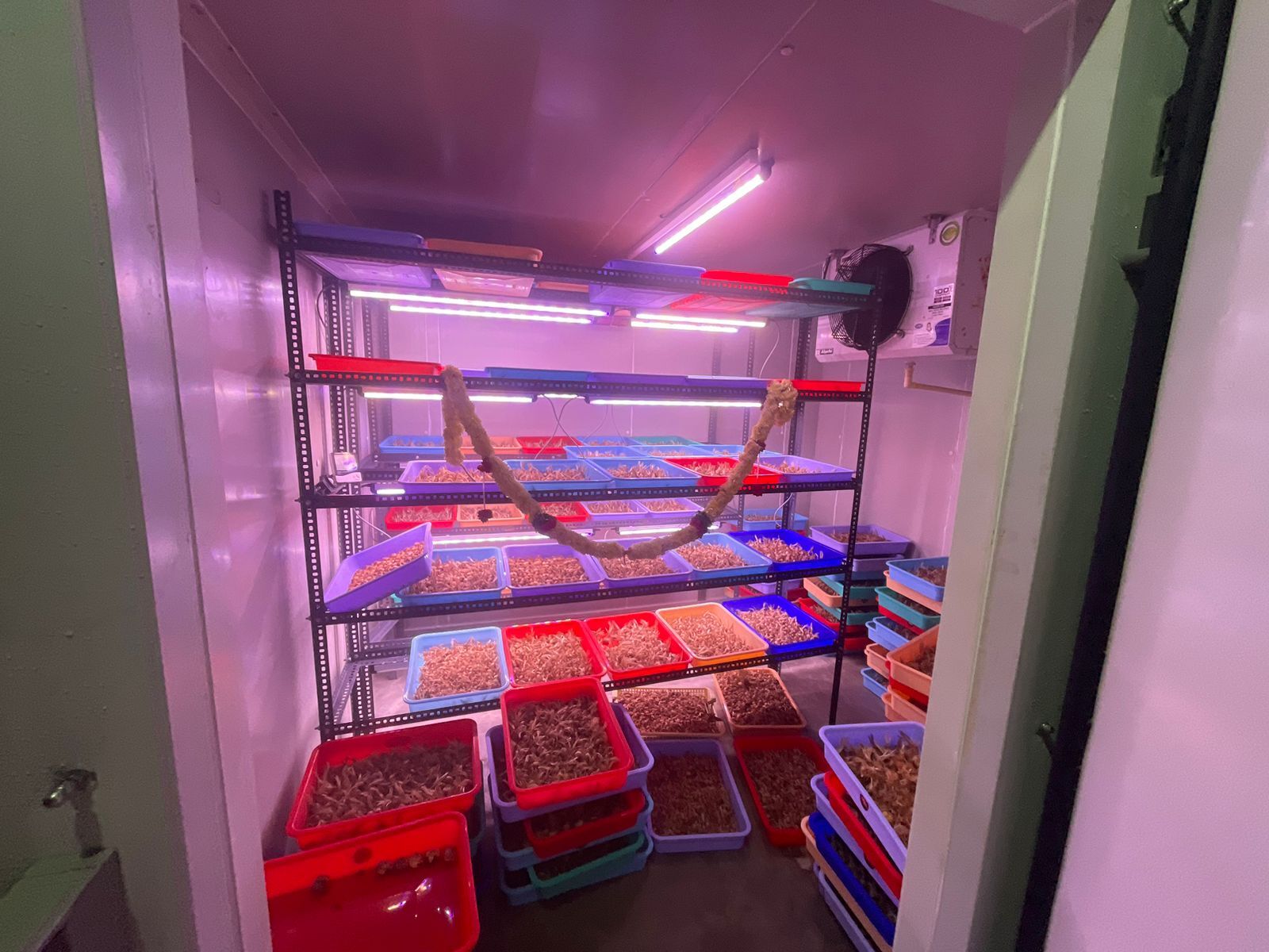 Saffron Cold Room at 300000.00 INR in Delhi, Delhi | Ahata Industries