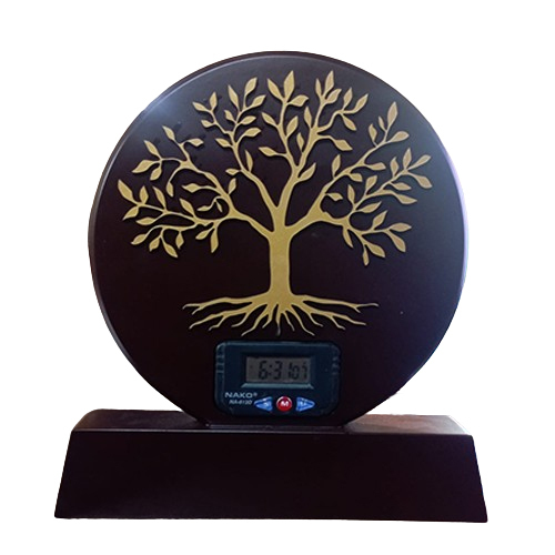 Wooden Award Trophy In Box - Color: Brown at Best Price in New Delhi ...