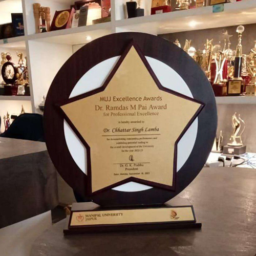Wooden Award Trophy In Box - Color: Brown at Best Price in New Delhi ...