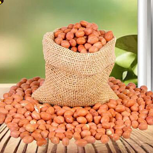 Natural Ground Nuts - Cultivation Type: Common at Best Price in Halvad ...