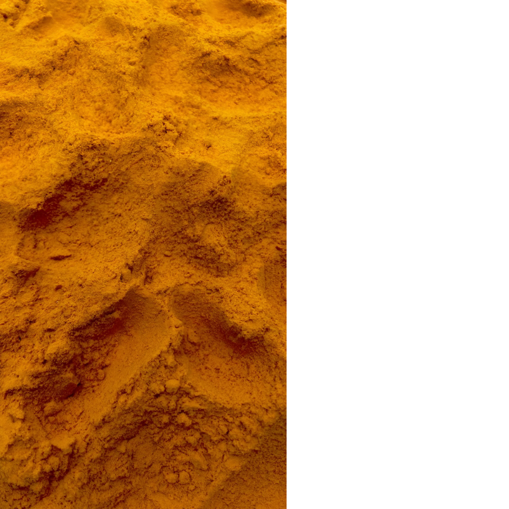 Amba Haldi Powder at Best Price in Jodhpur, Rajasthan | Neelkanth ...