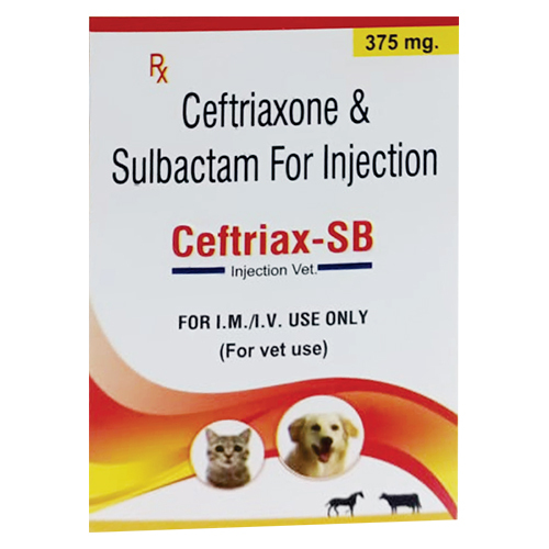 Certriax-sb Injection - Feature: High Quality at Best Price in Kolkata ...