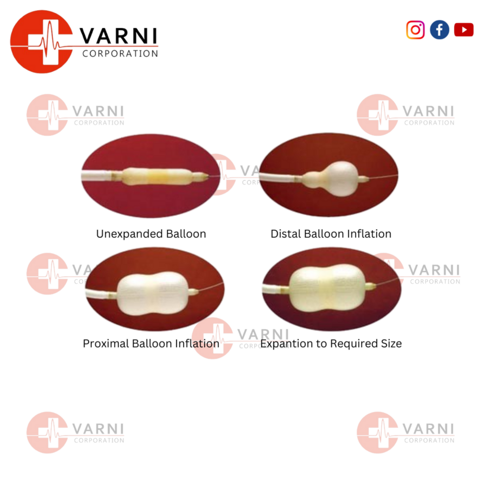 Ptmc Balloon Catheter at Best Price in Ahmedabad Gujarat | Varni ...
