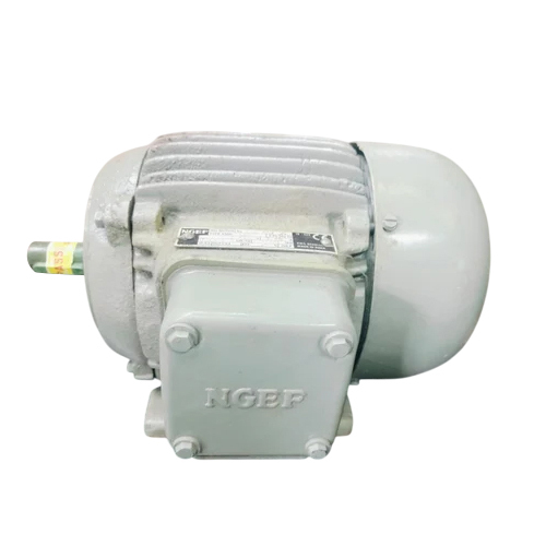 Ngef Electric Motor at 11000.00 INR in Kolkata, West Bengal ...