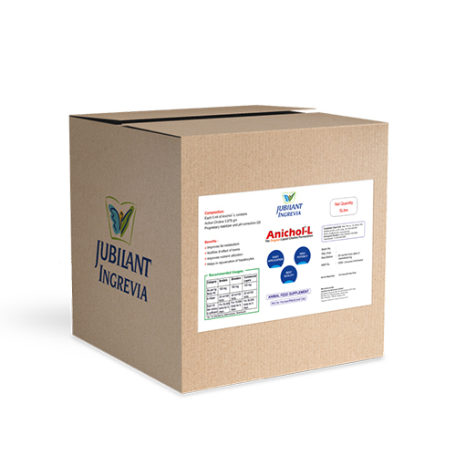 Anichol-l Liquid Choline Formulation - Ash %: Nil at Best Price in ...