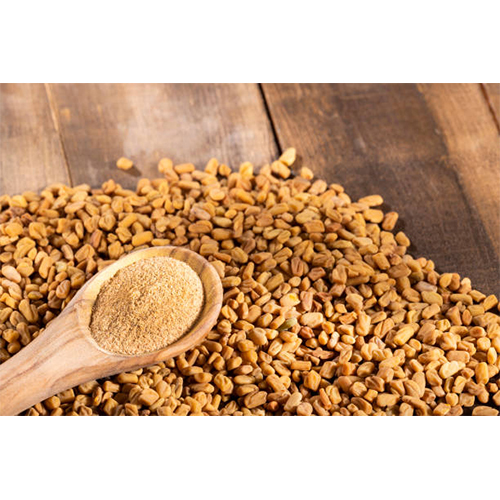 Fenugreek Seed - Color: Brown at Best Price in Delhi | Amrish & Sons