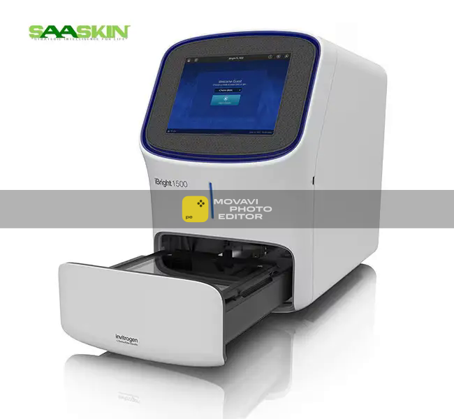 Thermo Fisher Scientific Invitrogen Ibright Cl1500 Imaging System at ...