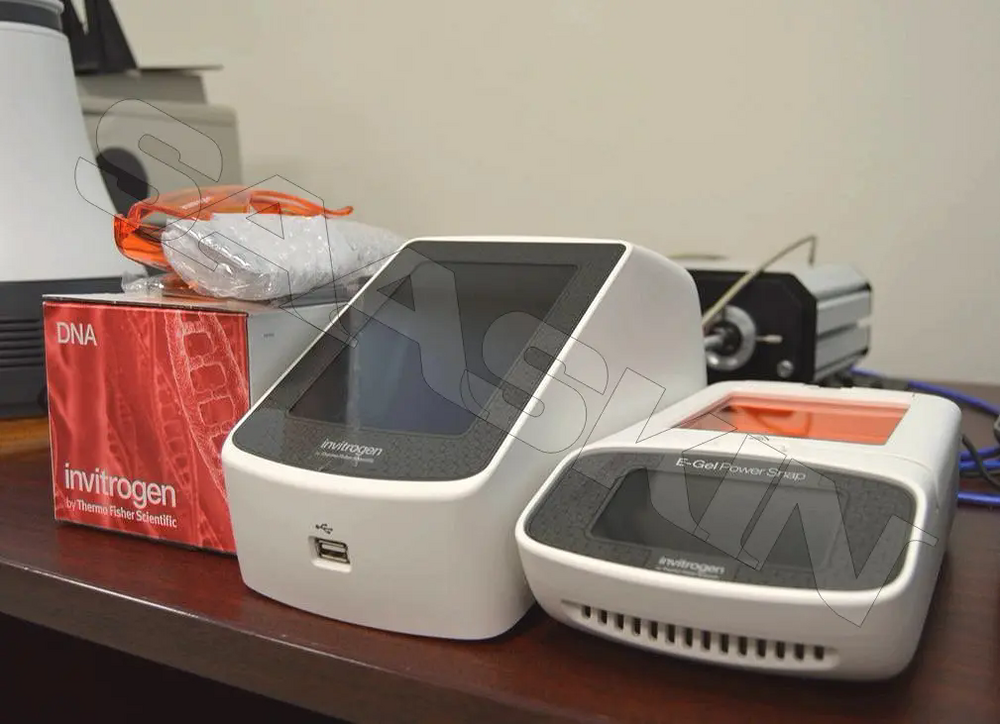 Thermo Fisher Scientific Invitrogen E-gel Power Snap Electrophoresis ...