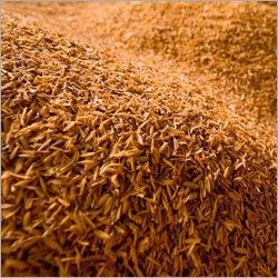 Rice Husk at Best Price in Kolkata, West Bengal | Shree Swastika Rice Mill