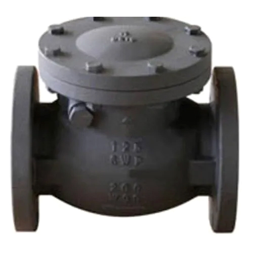 Cs-ci Sant Swing Check Valve at 5890.00 INR in Delhi | Sonu Valves ...