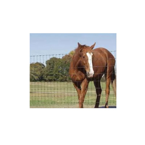 Live Stock Case Weld Mesh - Color: Different Available at Best Price in ...