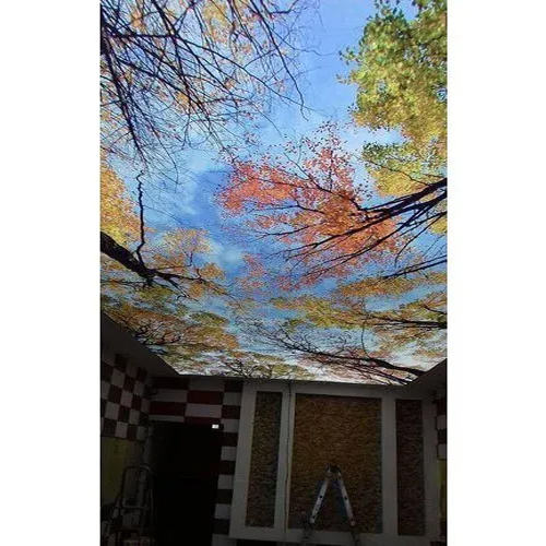 Printed Stretch Ceiling - Color: Any Color at Best Price in Greater Noida | Dream Infra